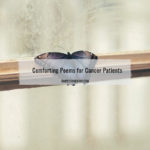 Comforting Poems for Cancer Patients - Simple Sympathy
